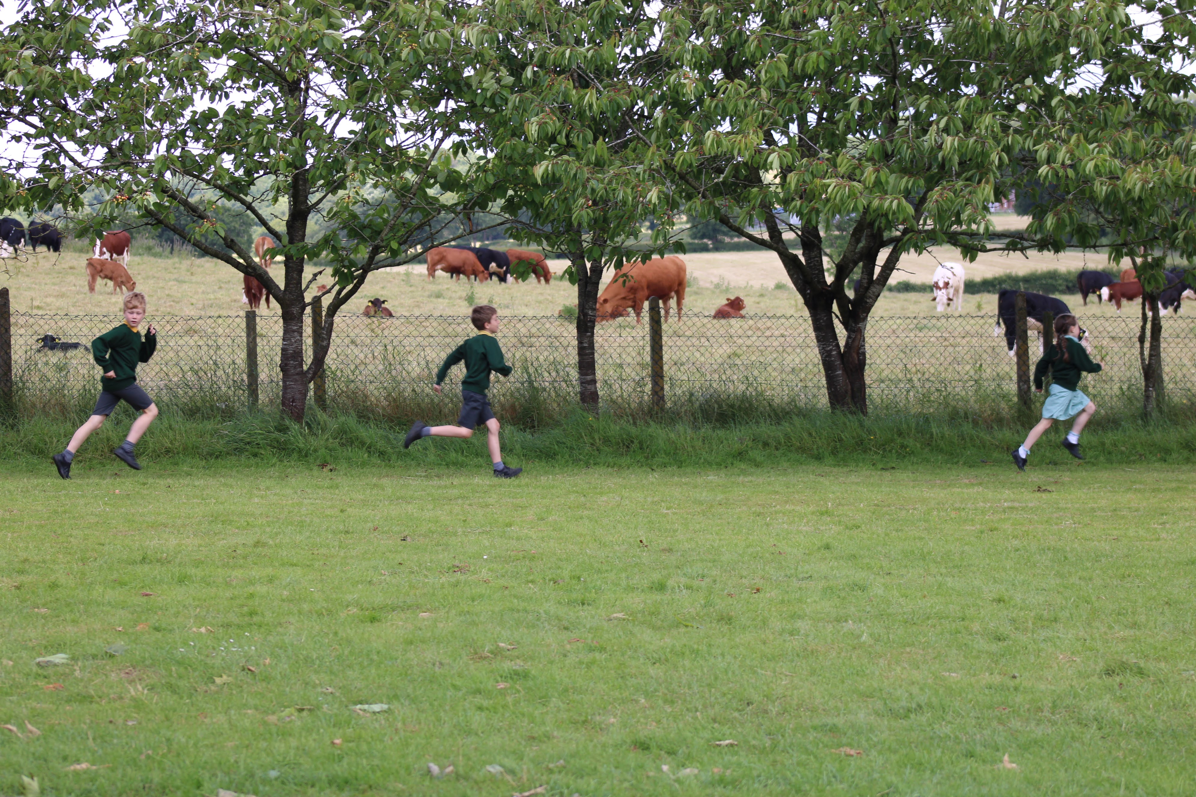 Headteacher – Beoley First School